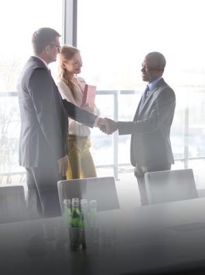 Wafi Group | 5 LLCs | Property, Hospitality, Hotels, Industrial ...