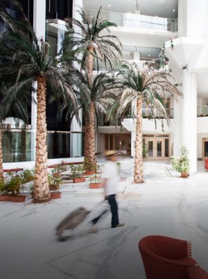 Wafi Group | 5 LLCs | Property, Hospitality, Hotels, Industrial ...